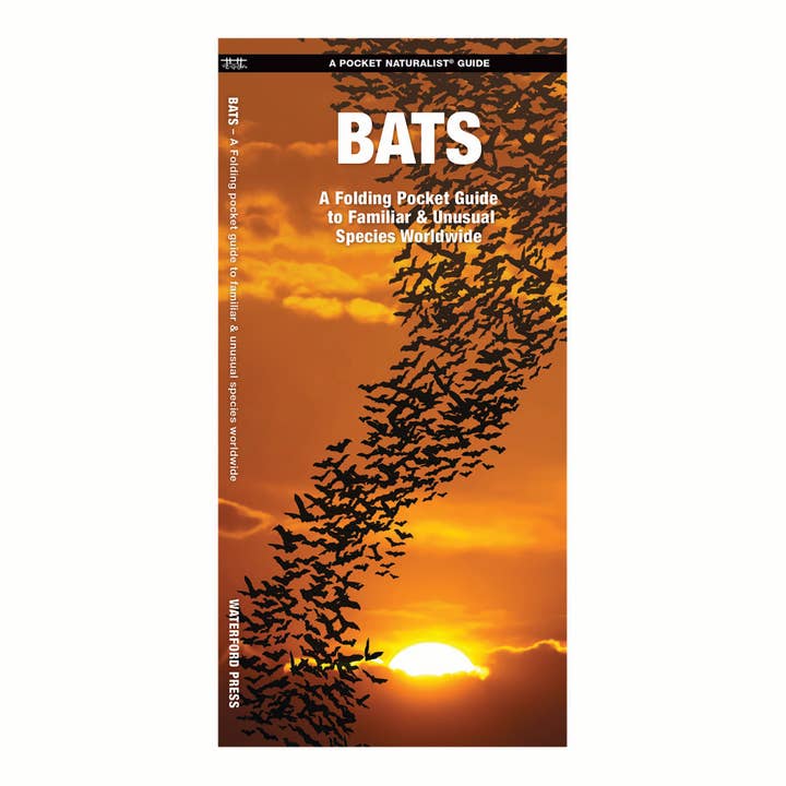 Bats Nature Guide – Urban Birding Supply